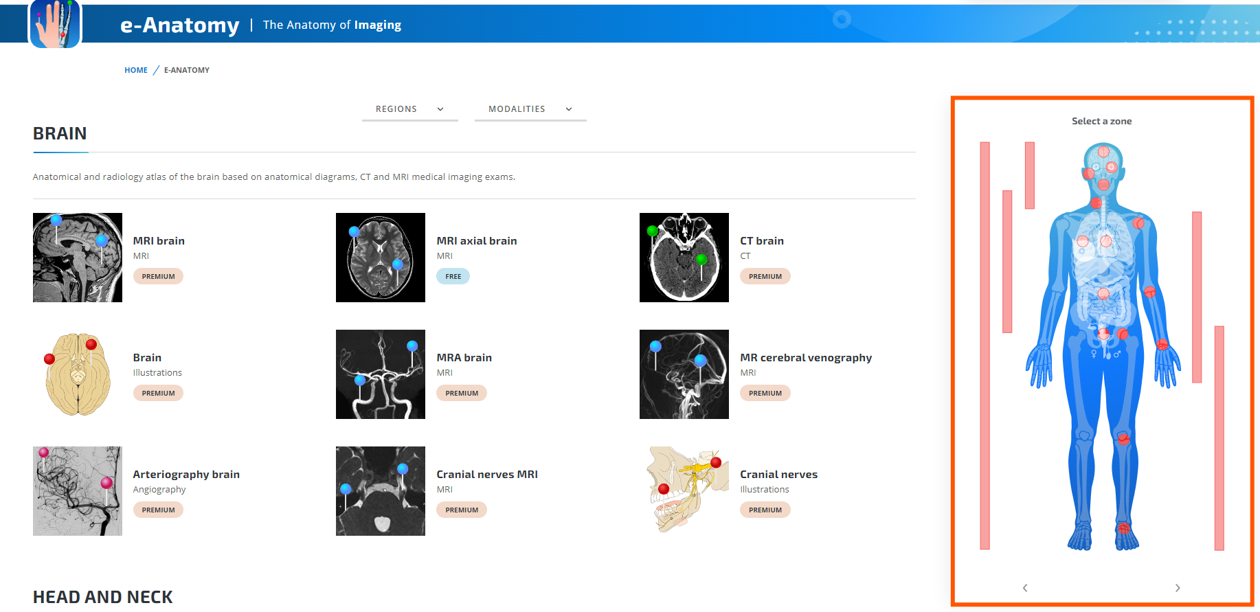 Where to find the e-Anatomy modules? – IMAIOS Help Center