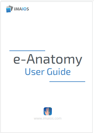 Where can I find the e-Anatomy User Guide? – IMAIOS Help Center